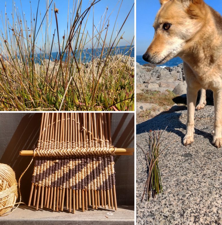 Scott Rothstein Archives - arttextstyle