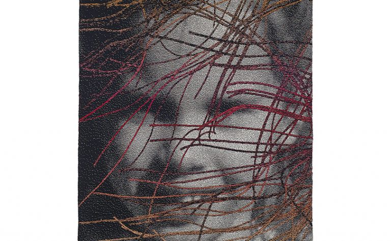 An Artist Evolves: Lia Cook's Five Bodies of Work - arttextstyle